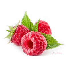 Red Raspberry Oil – Dr Adorable Inc